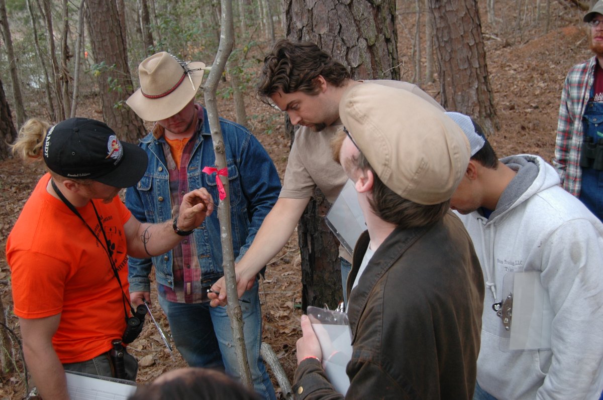 Sylvans Timbersports - Dendrology